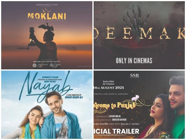 Four Pakistani films that won global acclaim in 2025 – Pakistan Times USA
